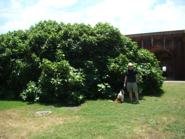 Fort Pulaski National Monumant - Tybee Island - Georgia