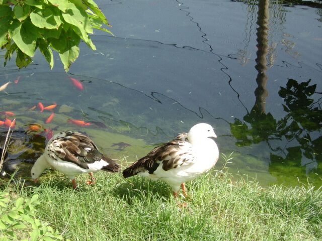 Kansas - Wichita - Sedgwick County Zoo