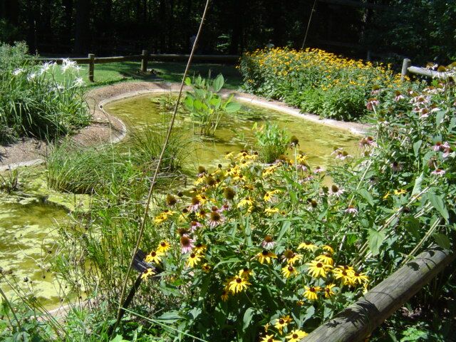 Land Between the Lakes - Woodlands Nature Station