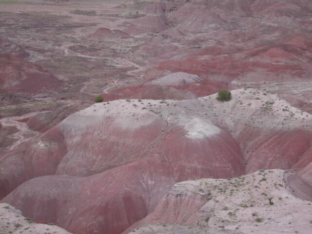 New Mexico - Petrified Forest National Park