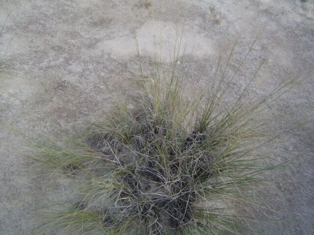 New Mexico - White Sands National Monument
