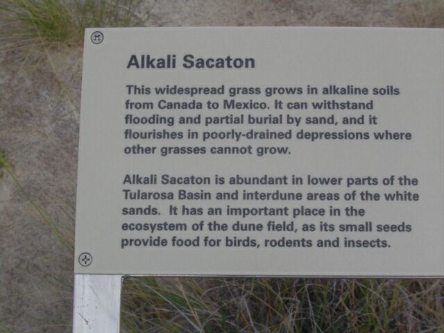 New Mexico - White Sands National Monument